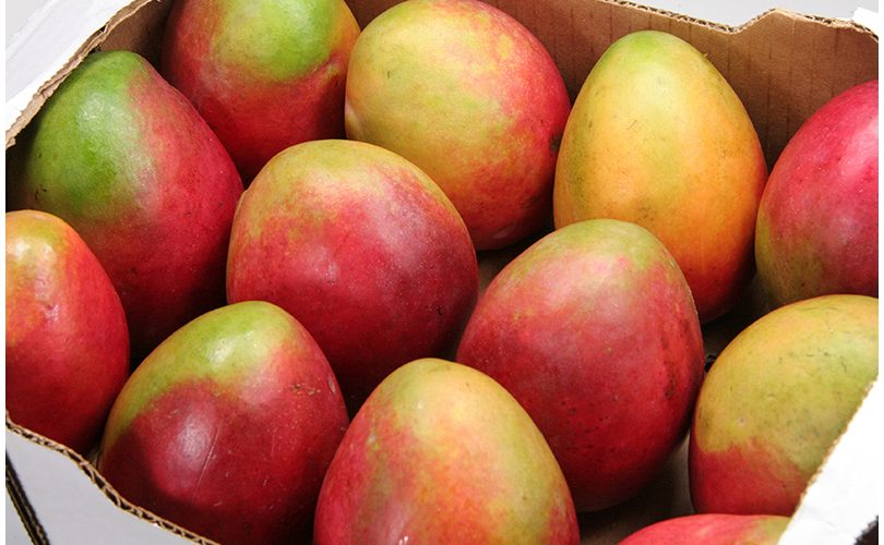 Mango Box – Buffalo Fresh Markets